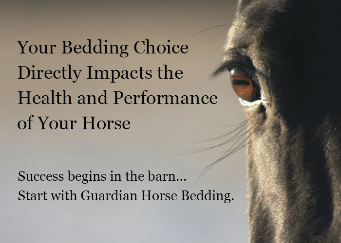 April, Madison, Wisconsin | Midwest Horse Fair