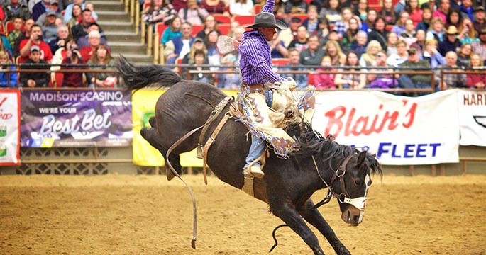 April, Madison, Wisconsin | Midwest Horse Fair