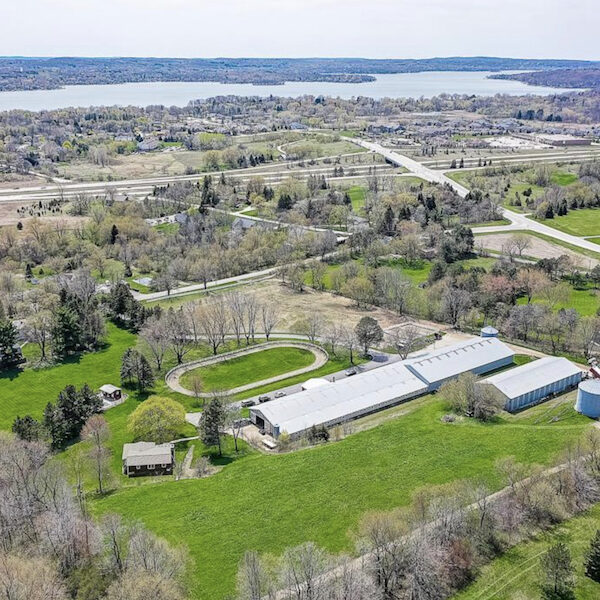 Stable Lane | Midwest Horse Fair