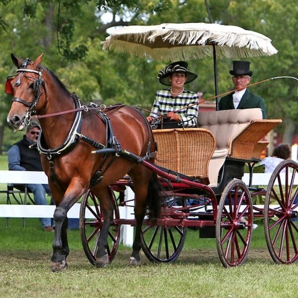 Grand March | Midwest Horse Fair