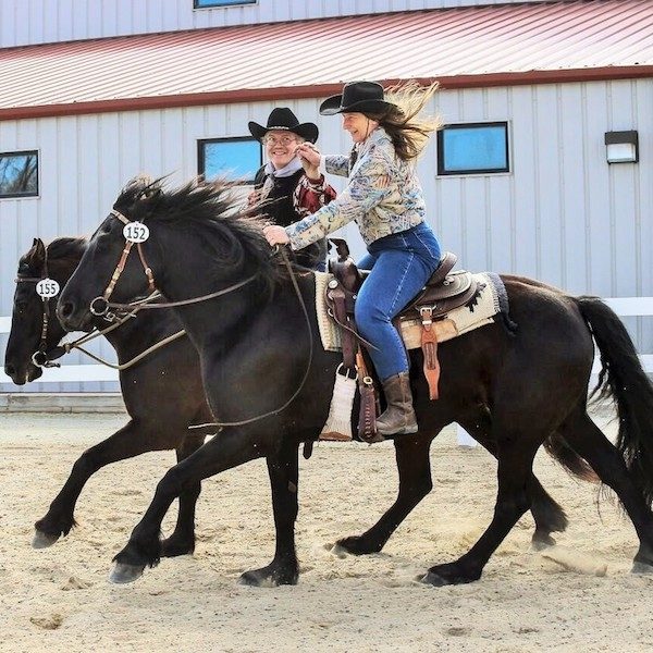 Stable Lane | Midwest Horse Fair