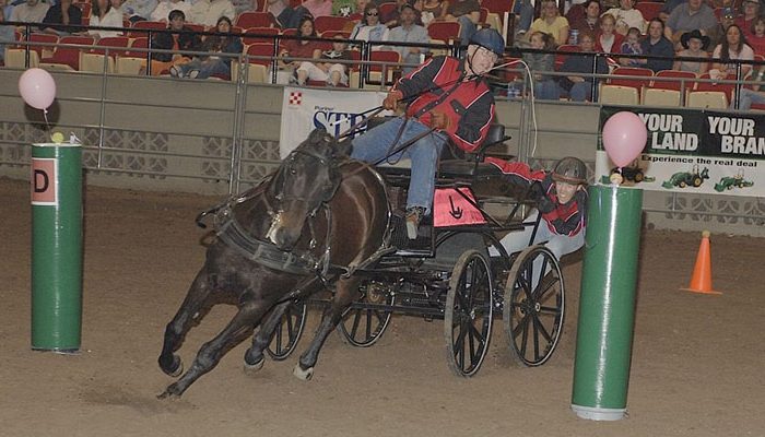 April 20-22, Madison, Wisconsin | Midwest Horse Fair