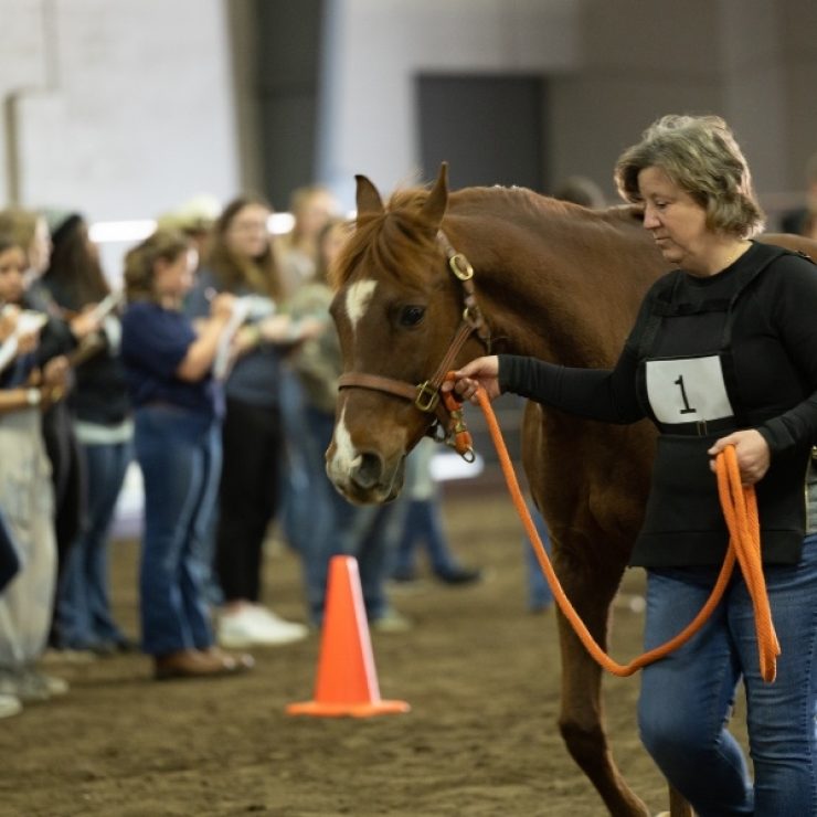Wisconsin FFA State Horse Judging Event | Midwest Horse Fair