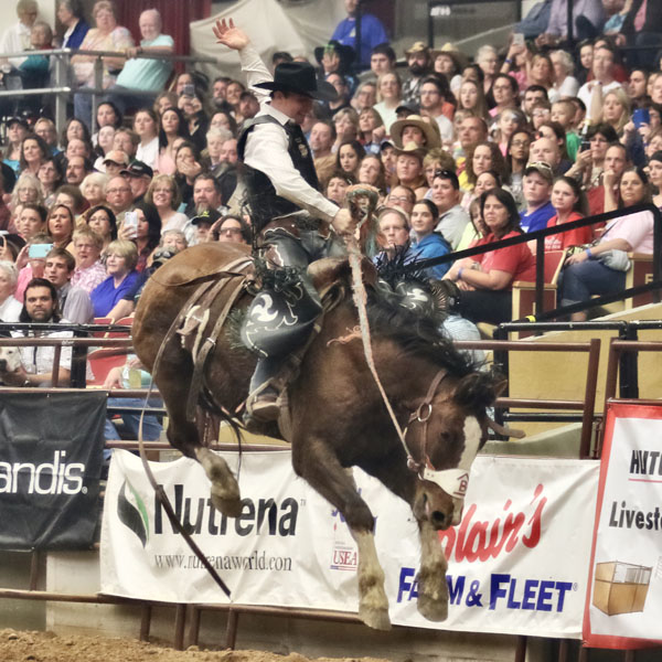 PRCA Rodeo | Midwest Horse Fair